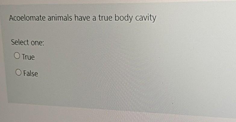Solved Acoelomate animals have a true body cavity Select | Chegg.com