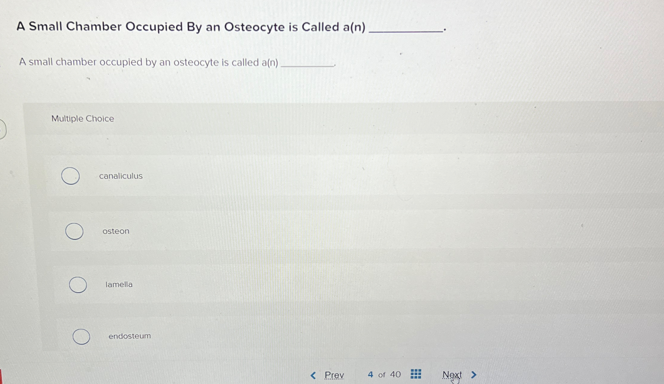 Solved A Small Chamber Occupied By an Osteocyte is Called | Chegg.com