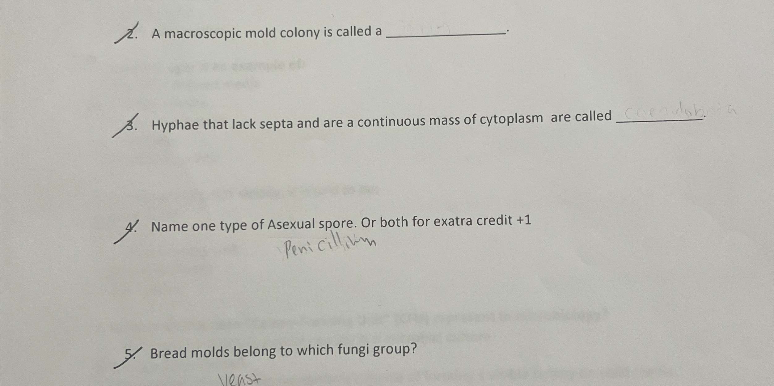 Solved A macroscopic mold colony is called aHyphae that lack | Chegg.com