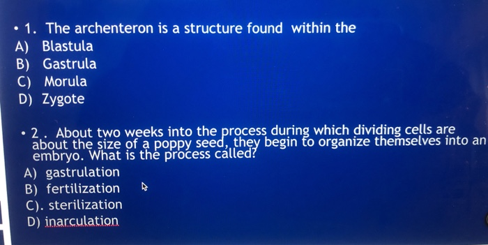 Solved 1. The archenteron is a structure found within the A) | Chegg.com