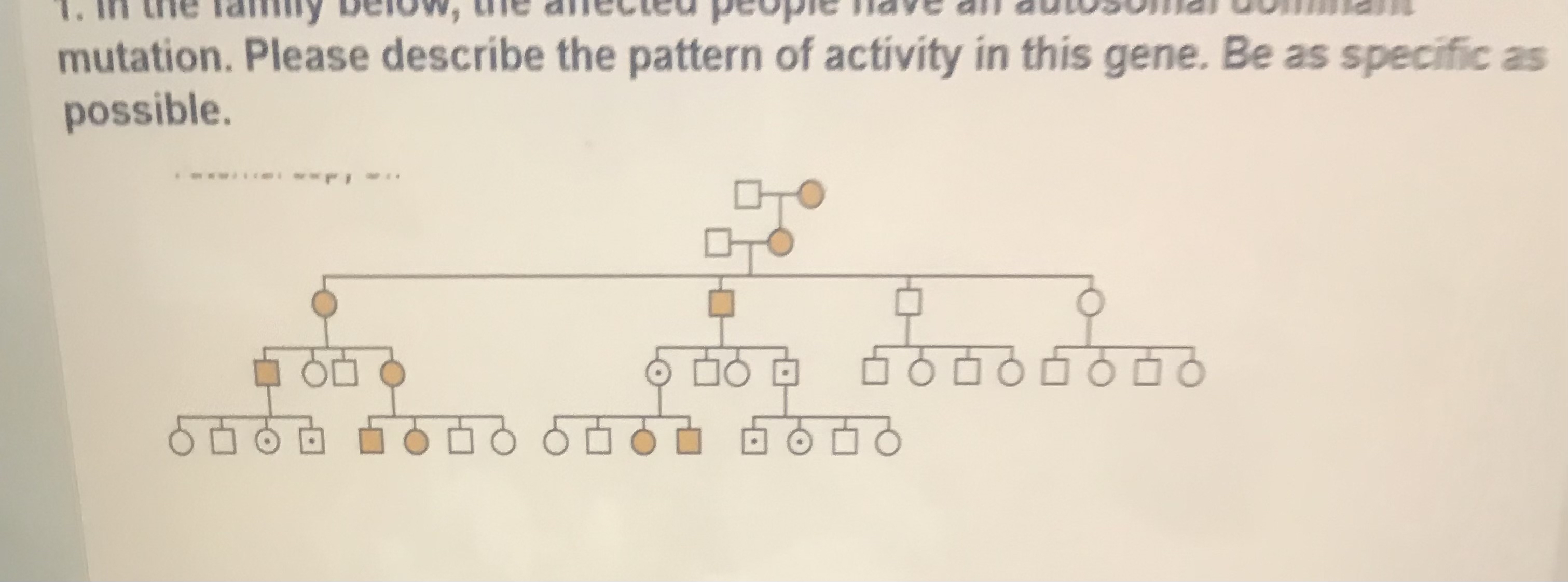 Solved mutation. Please describe the pattern of activity in | Chegg.com