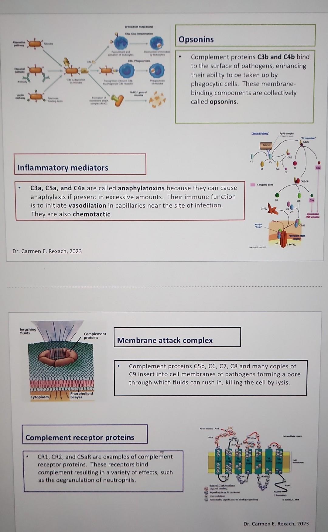 Solved 20. Several complement deficiencies are described in | Chegg.com