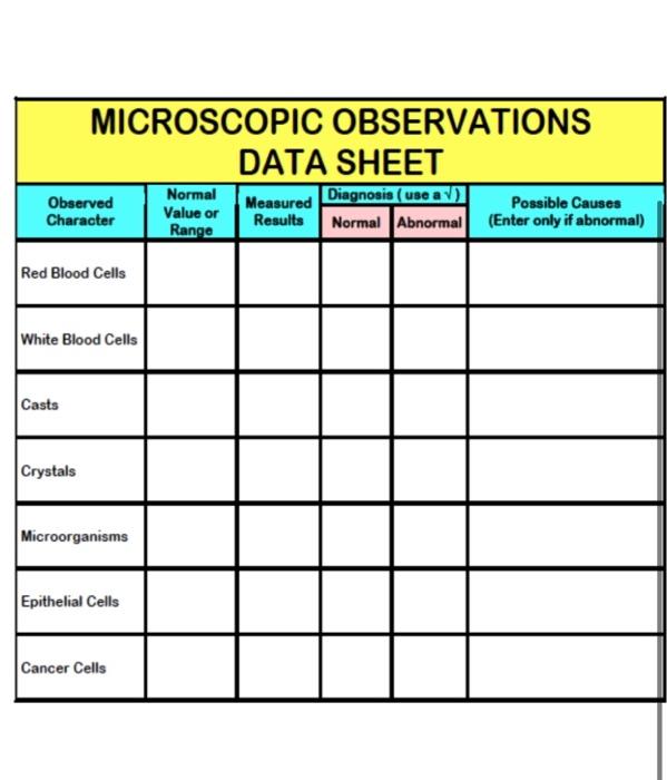 Solved For this portion assignment, you will need to answer | Chegg.com