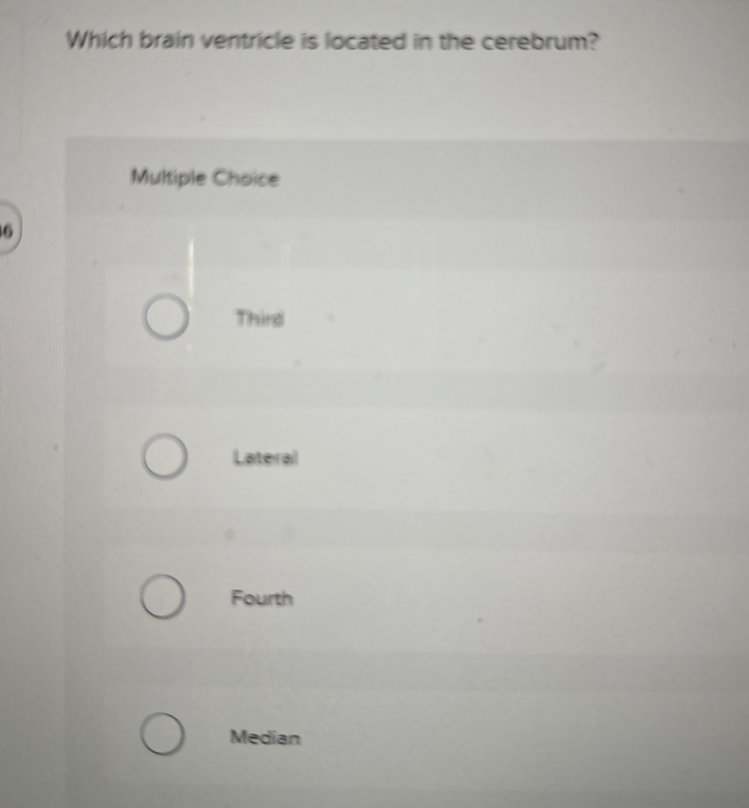 Solved Which brain ventricle is located in the | Chegg.com