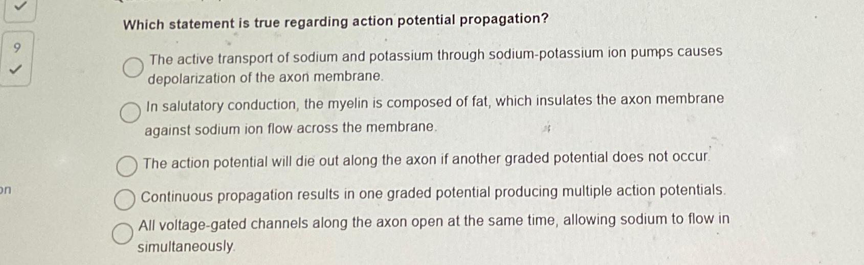 Solved Which statement is true regarding action potential | Chegg.com