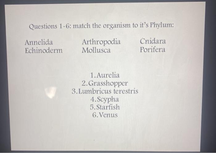 Solved Questions 1-6: match the organism to it's Phylum: | Chegg.com