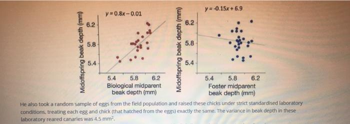 Information An ornithologist is studying beak depth | Chegg.com