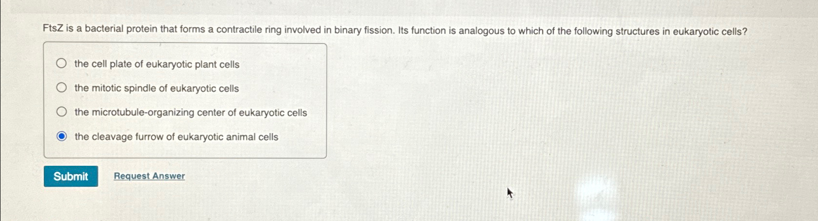 Solved FtsZ is a bacterial protein that forms a contractile | Chegg.com