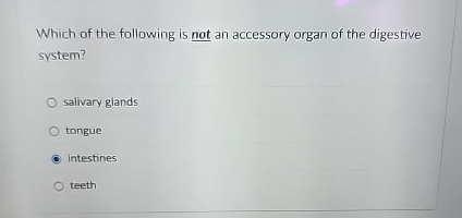 Solved Which of the following is not an accessory organ of | Chegg.com