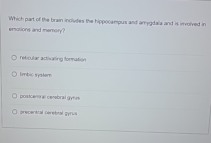 Solved Which part of the brain includes the hippocampus and | Chegg.com