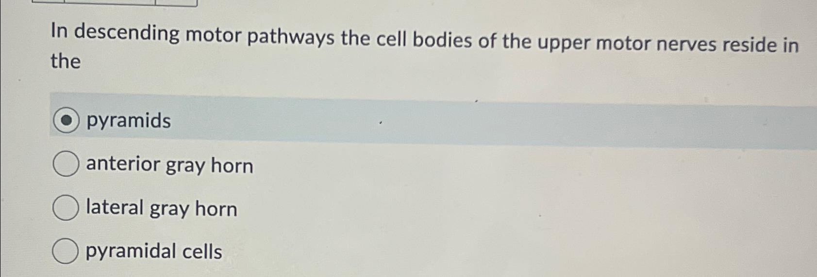 Solved In descending motor pathways the cell bodies of the | Chegg.com