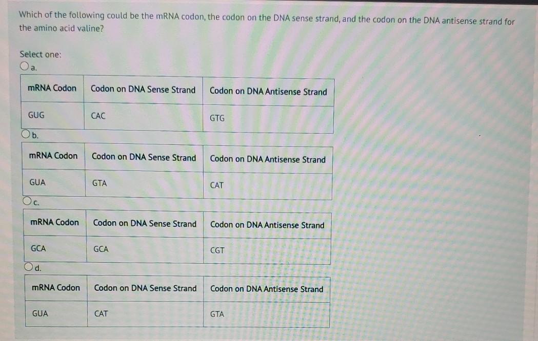 Solved A DNA antisense strand contains the following | Chegg.com