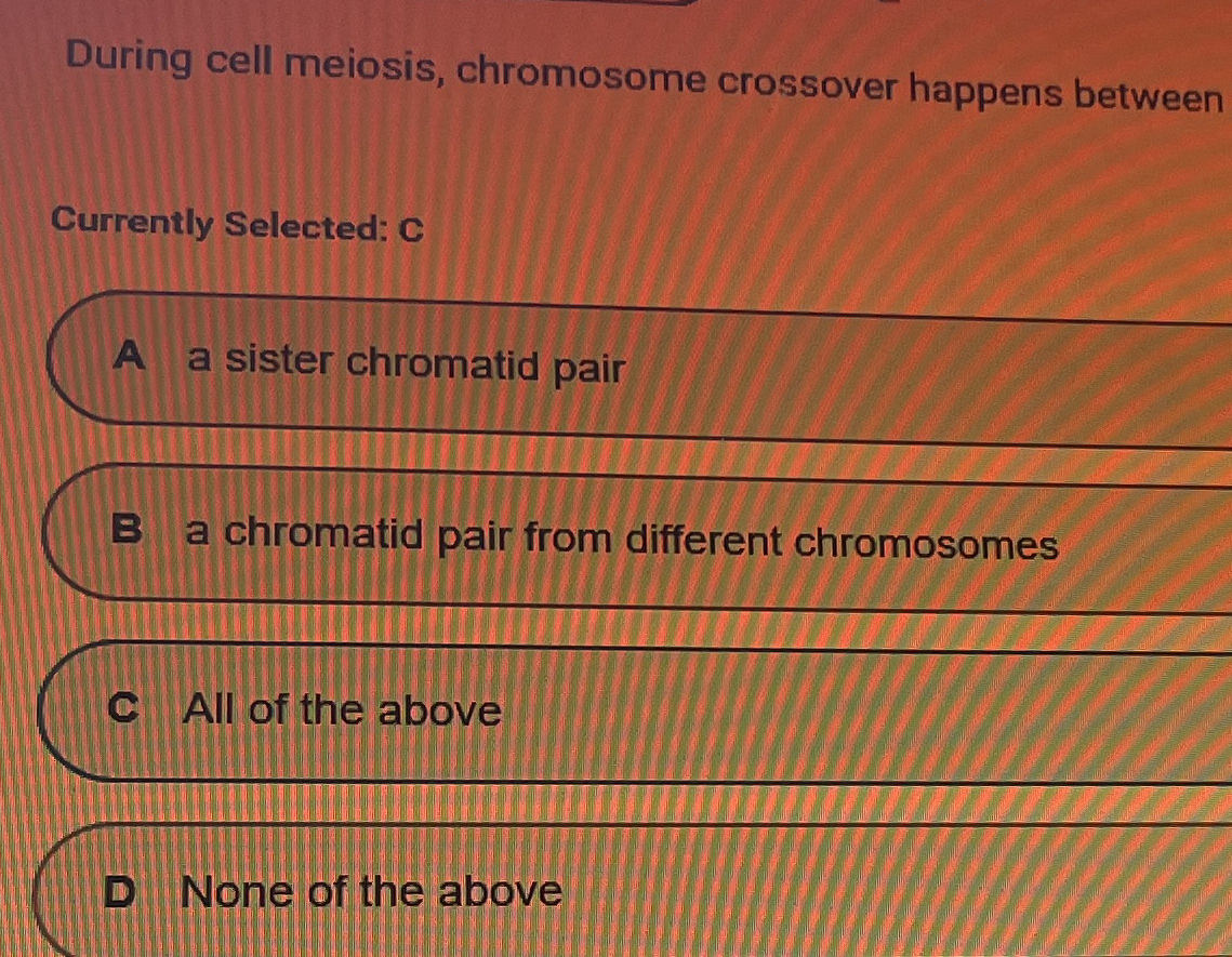 Solved During cell meiosis, chromosome crossover happens | Chegg.com