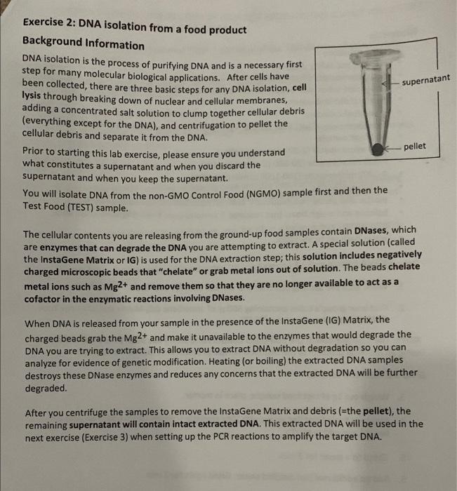 Solved In your own words and with your own design, create a | Chegg.com