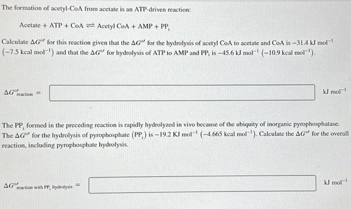 Solved The formation of acetyl-CoA from acetate is an | Chegg.com