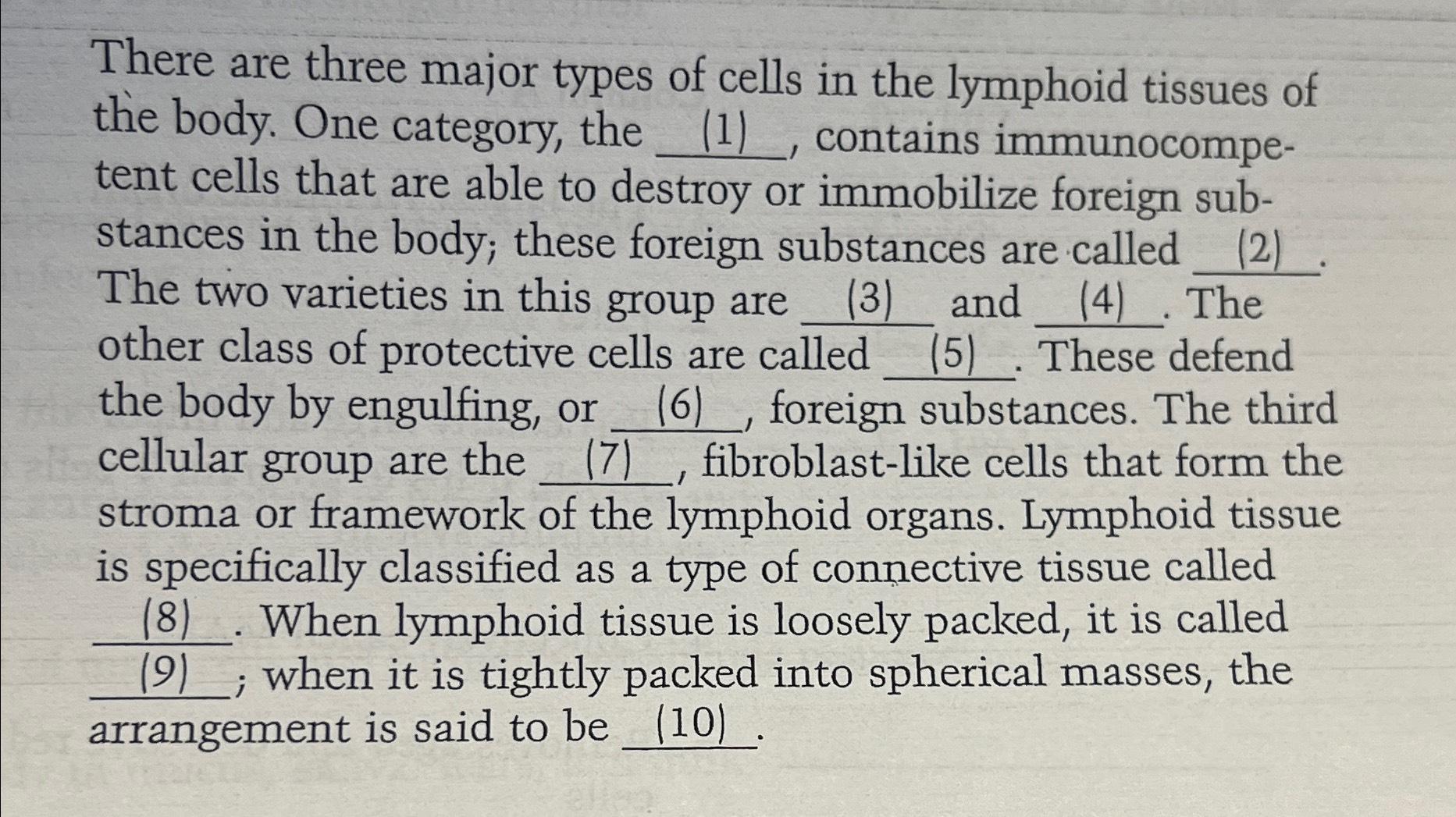 Solved There are three major types of cells in the lymphoid | Chegg.com