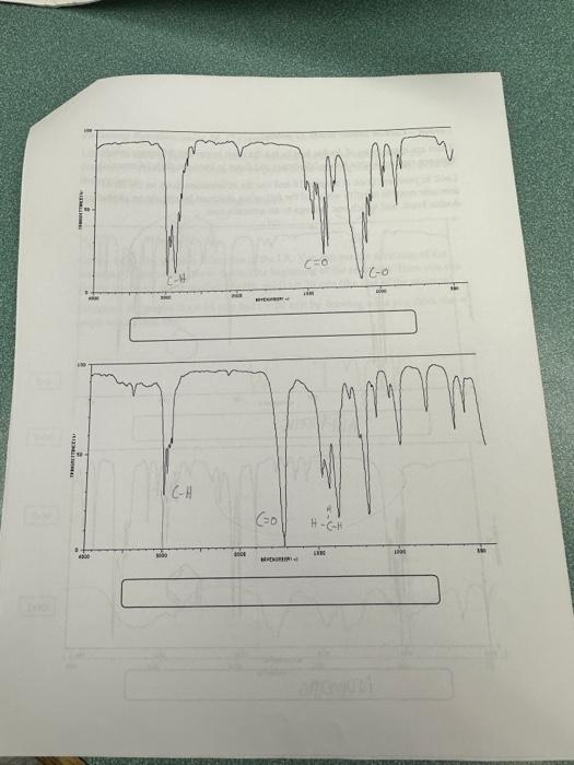 Solved There are many functional groups that contains C-O | Chegg.com