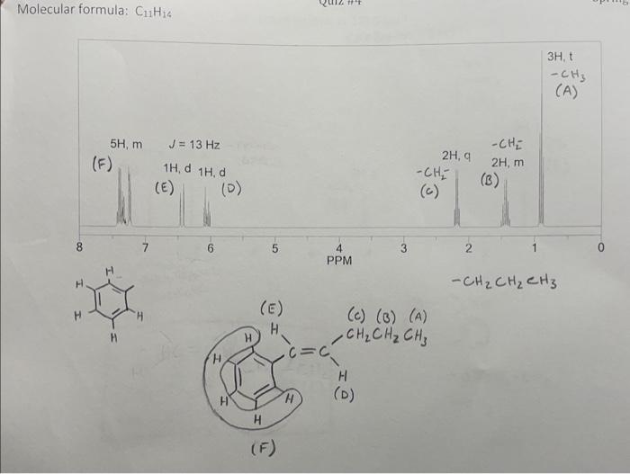 Solved Molecular formula: C11H16 | Chegg.com