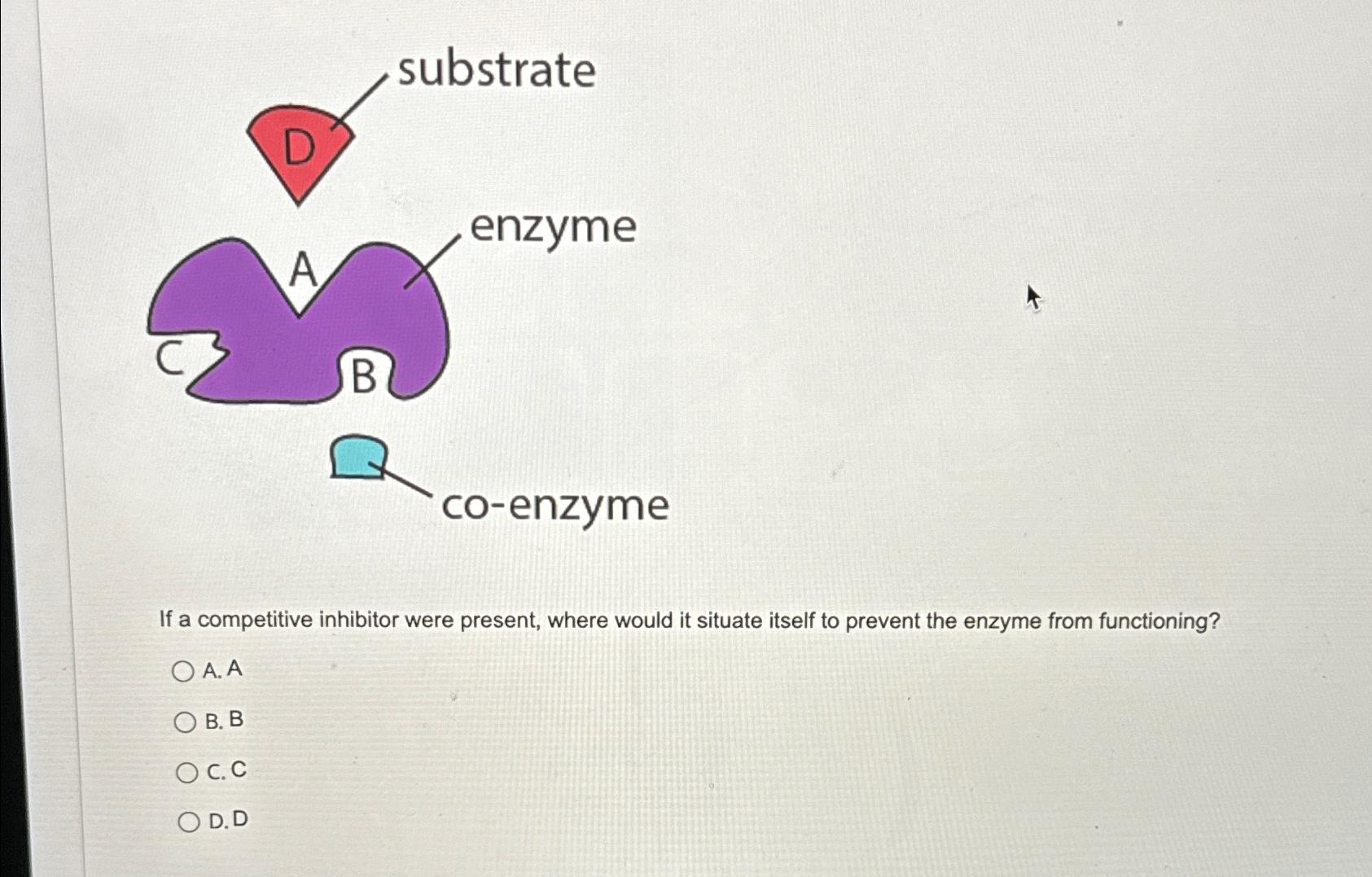 Solved If a competitive inhibitor were present, where would | Chegg.com