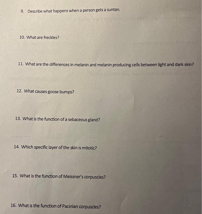 Solved PART C-Questions 1. Name the 3 layers of skin. | Chegg.com