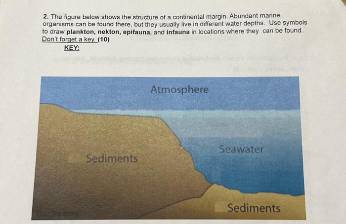Solved The figure below shows the structure of a continental | Chegg.com