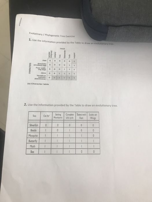 Solved Evolutinary/Phylogenetic Tree Exercise 1. Use the | Chegg.com