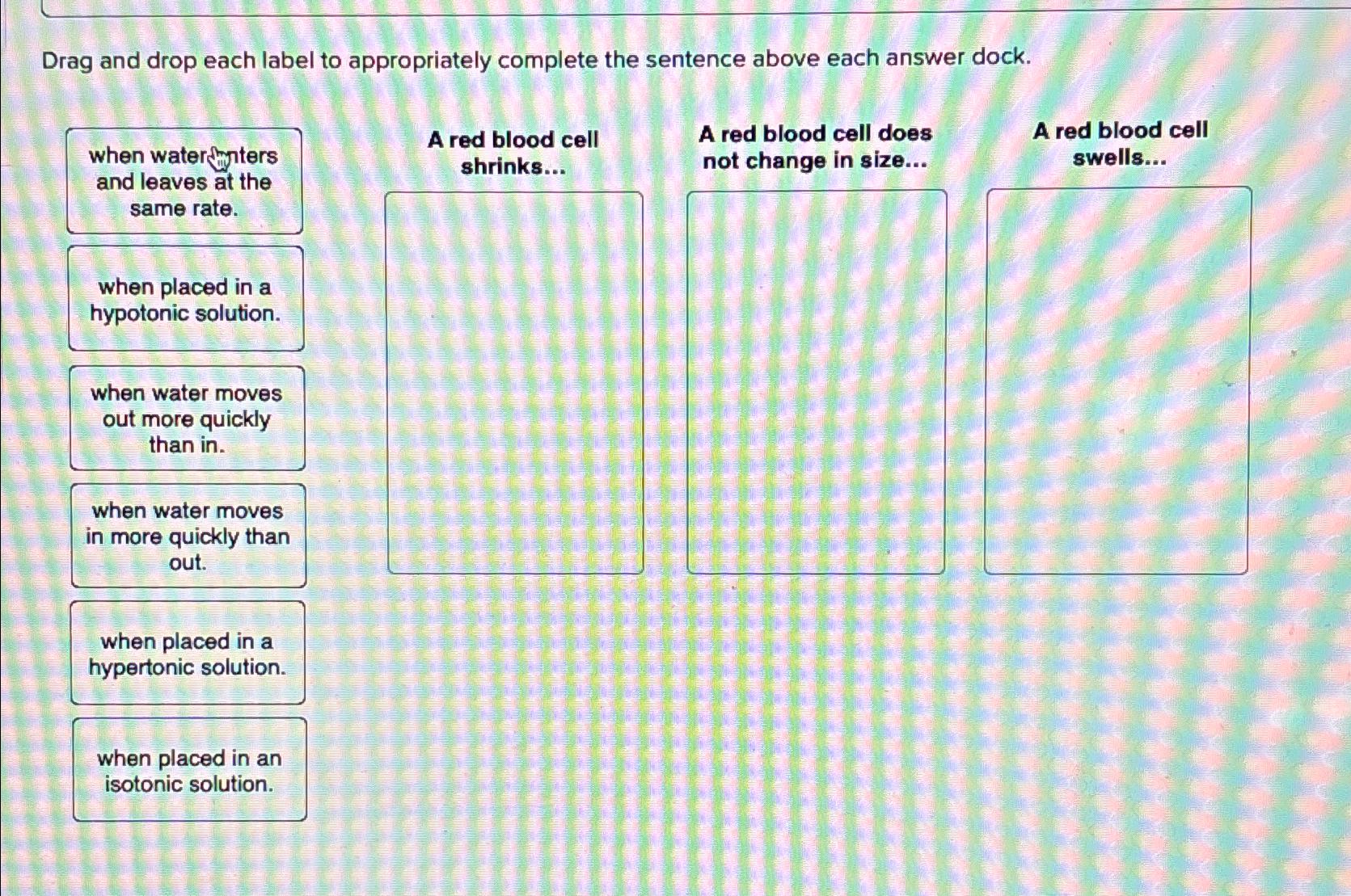 Solved Drag and drop each label to appropriately complete | Chegg.com