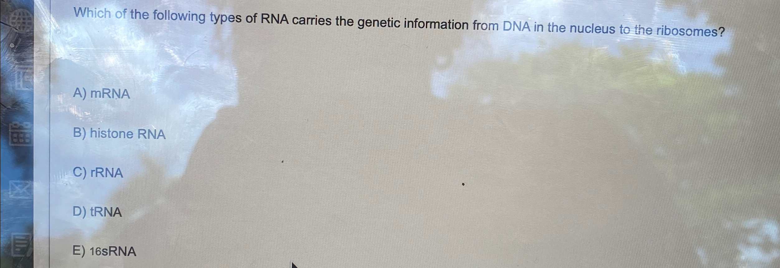 Solved Which of the following types of RNA carries the | Chegg.com