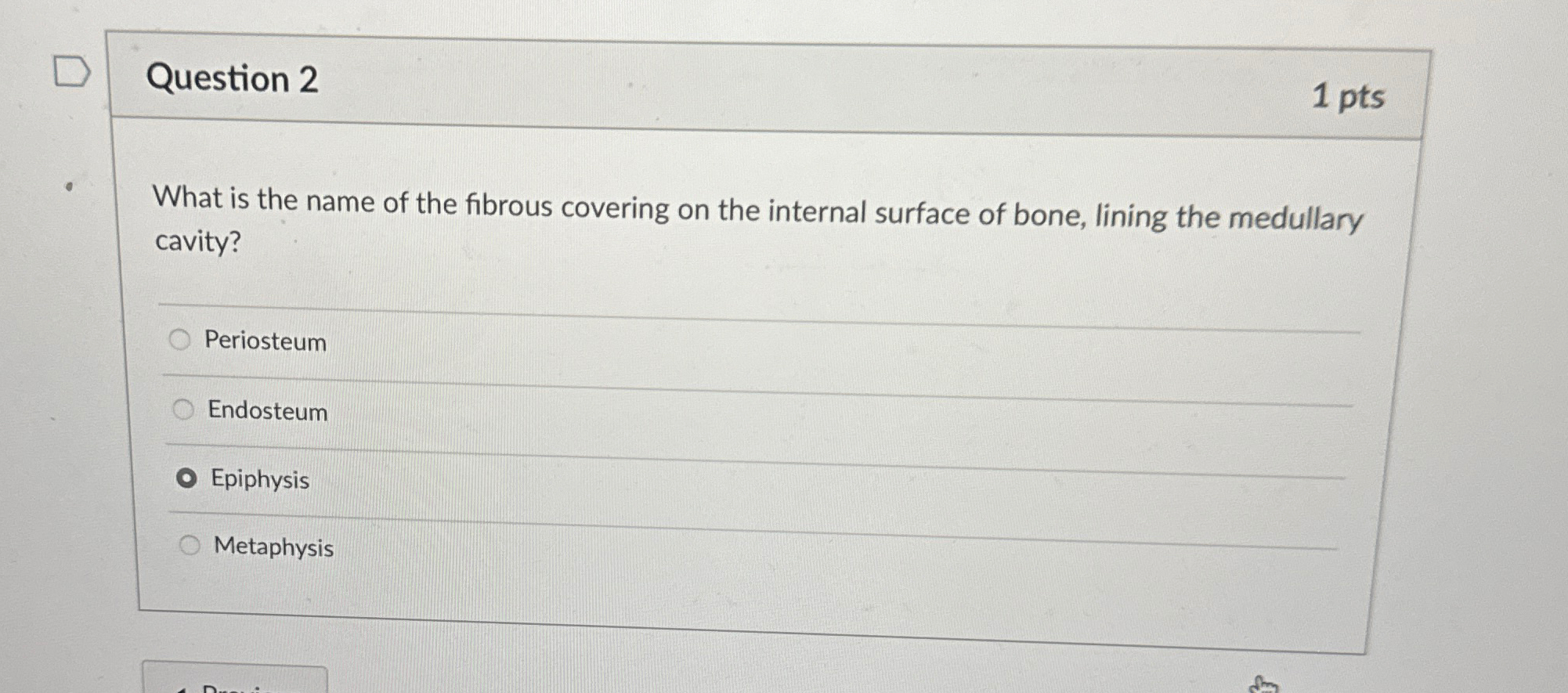 Solved Question 21 ﻿ptsWhat is the name of the fibrous | Chegg.com