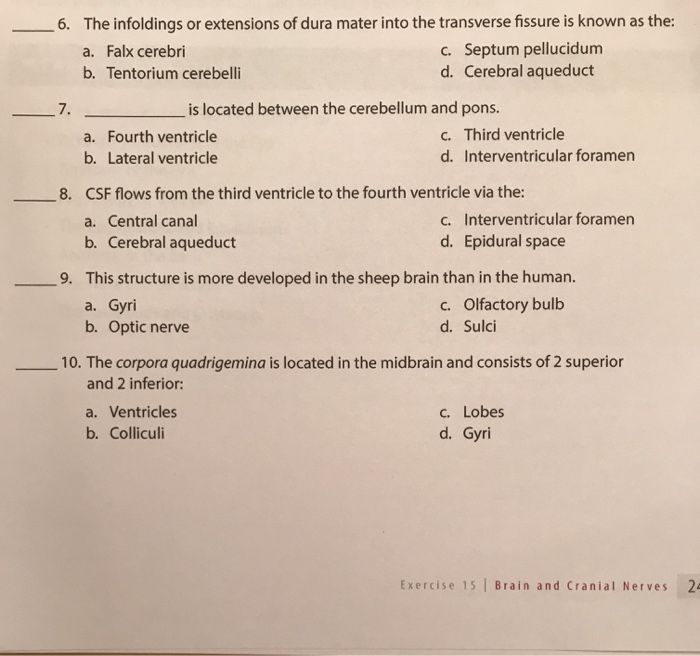 Solved 6. The infoldings or extensions of dura mater into | Chegg.com