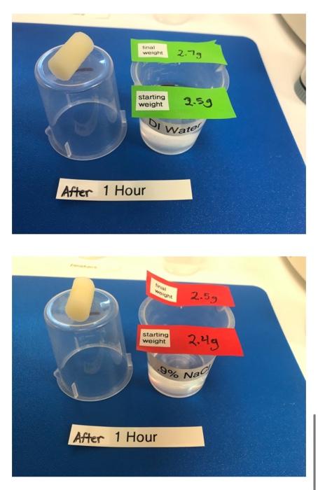 Solved Materials: (3) potato cores, (3) 50 mL beakers filled | Chegg.com