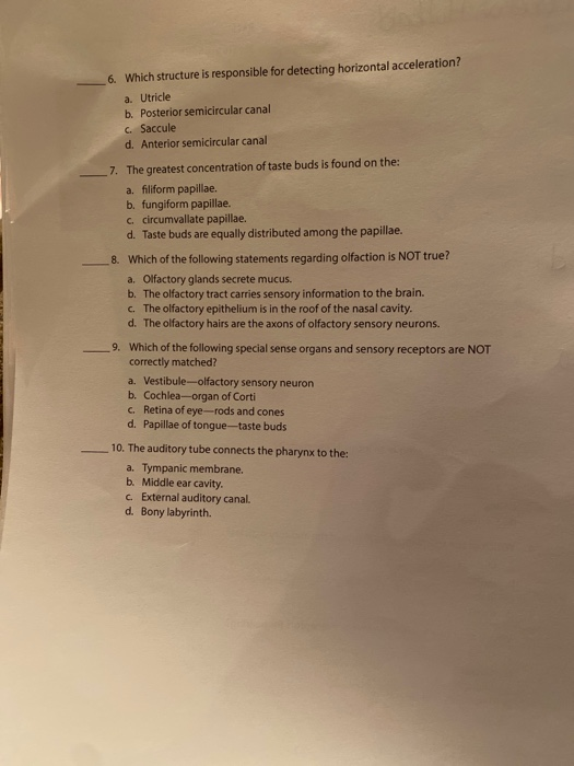 Solved 6. Which structure is responsible for detecting | Chegg.com
