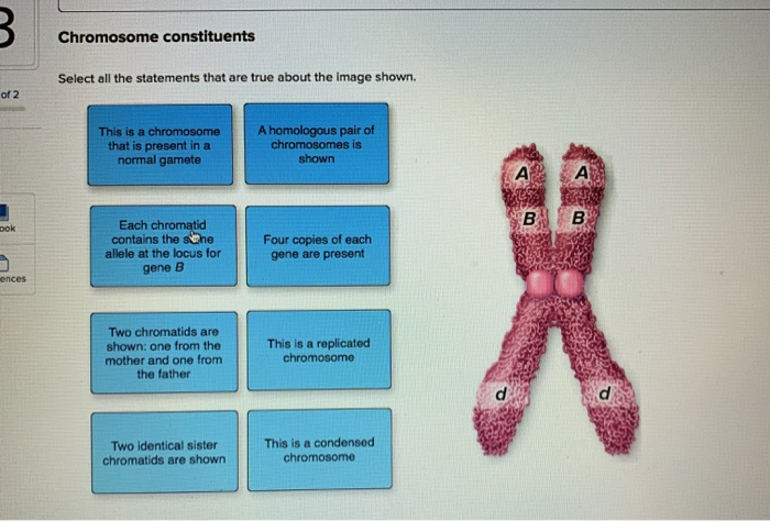 Solved Chromosome constituents Select all the statements | Chegg.com