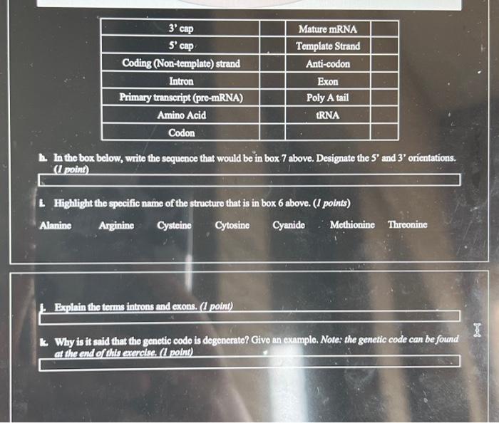 Solved The diagrams below depict transcription, splicing, | Chegg.com