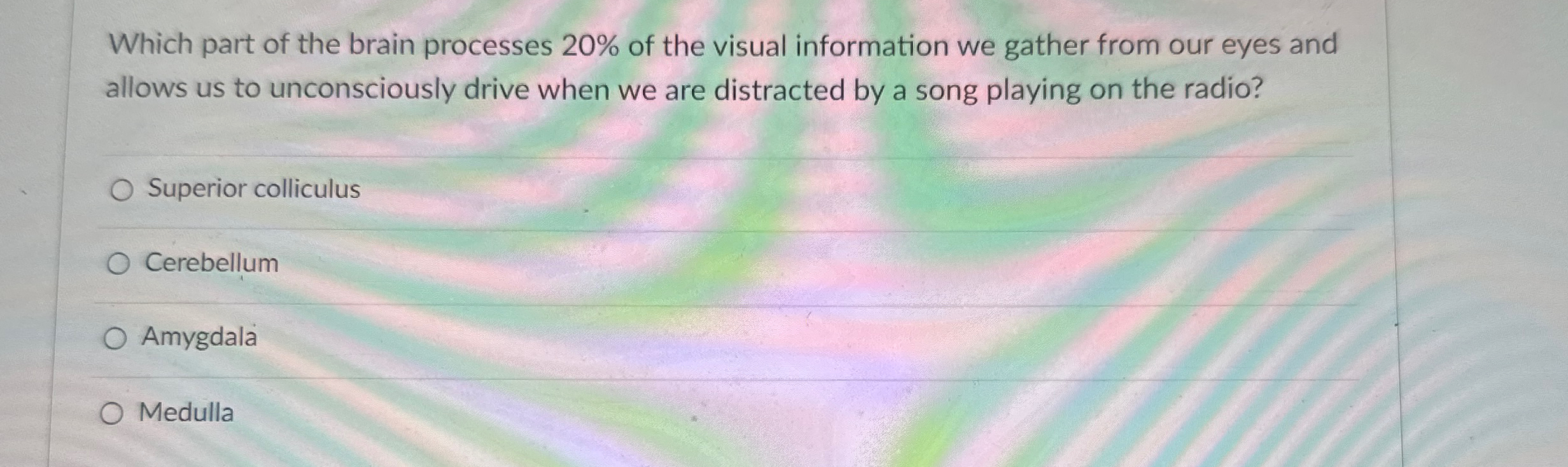 Solved Which part of the brain processes 20% ﻿of the visual | Chegg.com