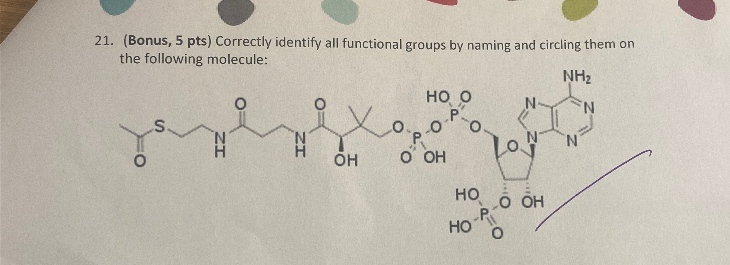 Solved (Bonus, 5 ﻿pts) ﻿Correctly identify all functional | Chegg.com