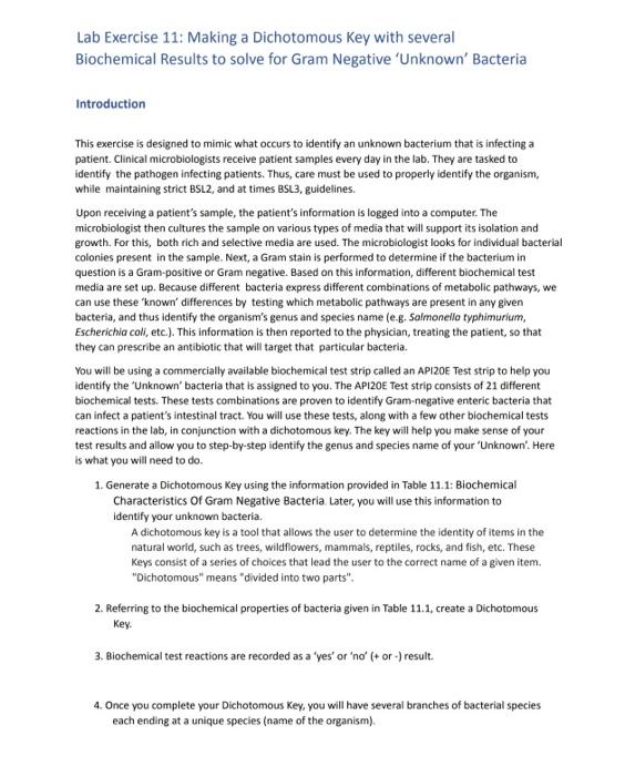 Solved Lab Exercise 11: Making a Dichotomous Key with | Chegg.com