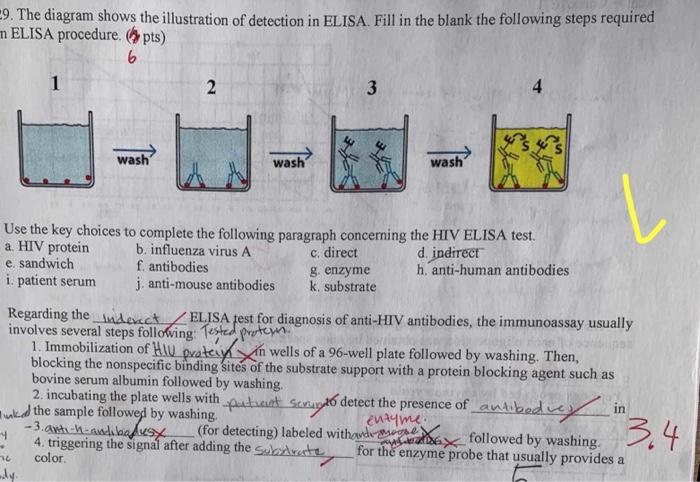 Solved 9. The diagram shows the illustration of detection in | Chegg.com
