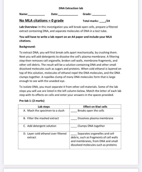 Solved DNA Extraction lab Name: Date: Grade: No MLA | Chegg.com