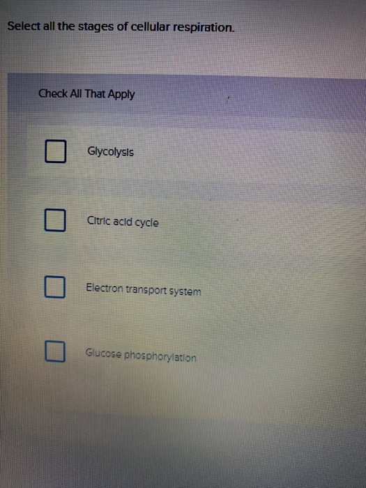 Solved Select all the stages of cellular respiration. Check | Chegg.com