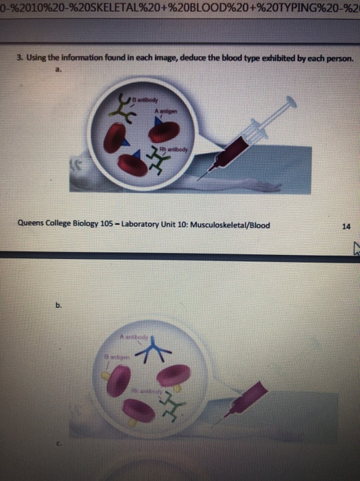 Solved IV. Blood Typing Questions (submit to instructor | Chegg.com