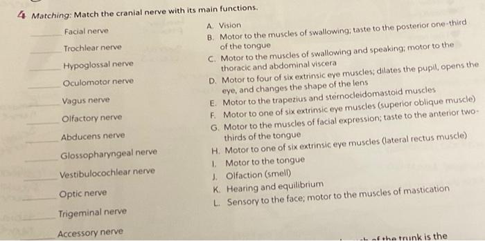 Solved 4. Matching: Match the cranial nerve with its main | Chegg.com