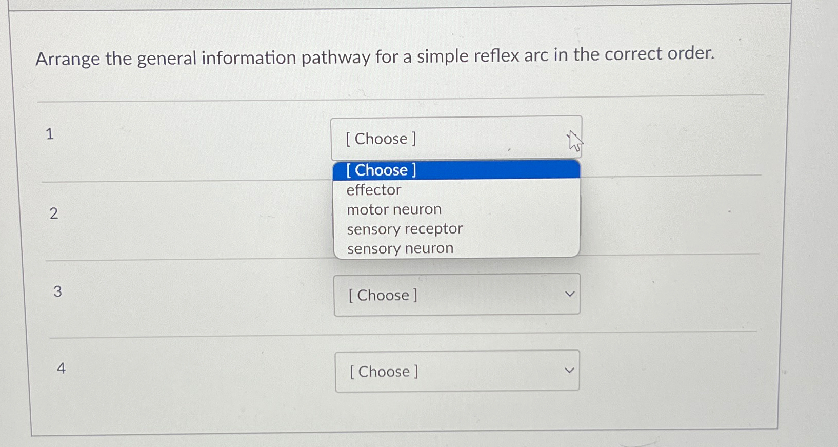 Solved Arrange the general information pathway for a simple | Chegg.com