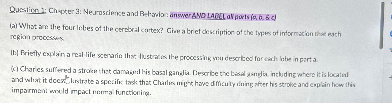 Solved Question 1: Chapter 3: Neuroscience and Behavior: | Chegg.com