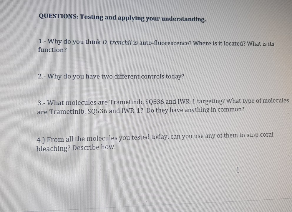 QUESTIONS: Testing and applying your understanding. | Chegg.com