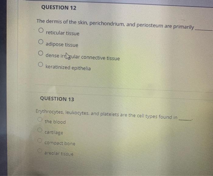 Solved The simple squamous epithelium that lines the insides | Chegg.com