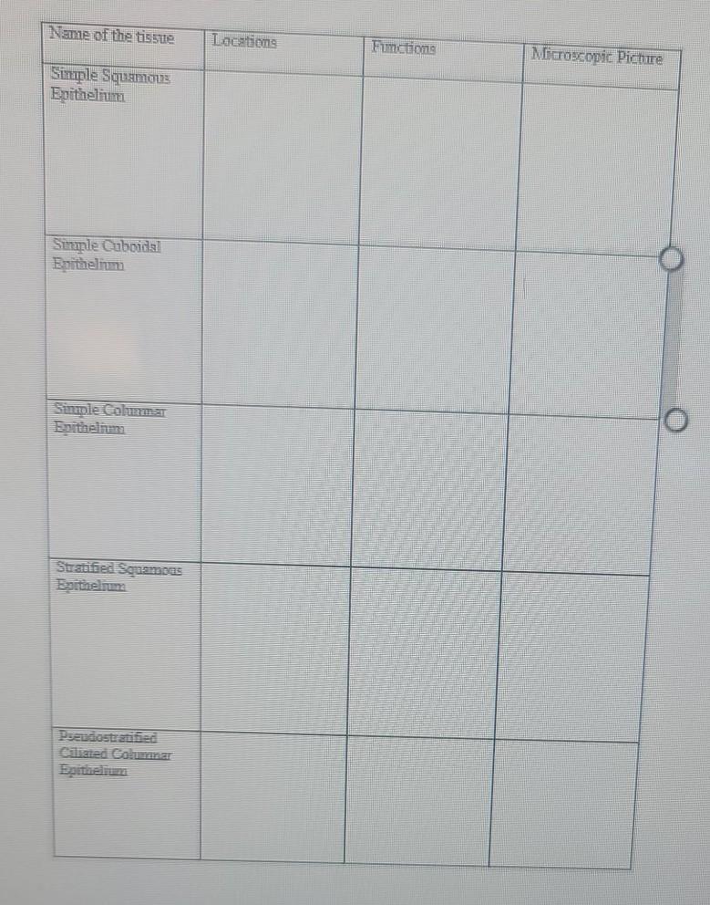 Solved "Name of the tissue Tacons Fmction Microscopic | Chegg.com