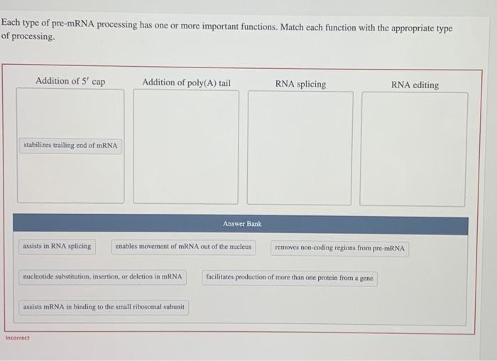 Solved Each type of pre-mRNA processing has one or more | Chegg.com