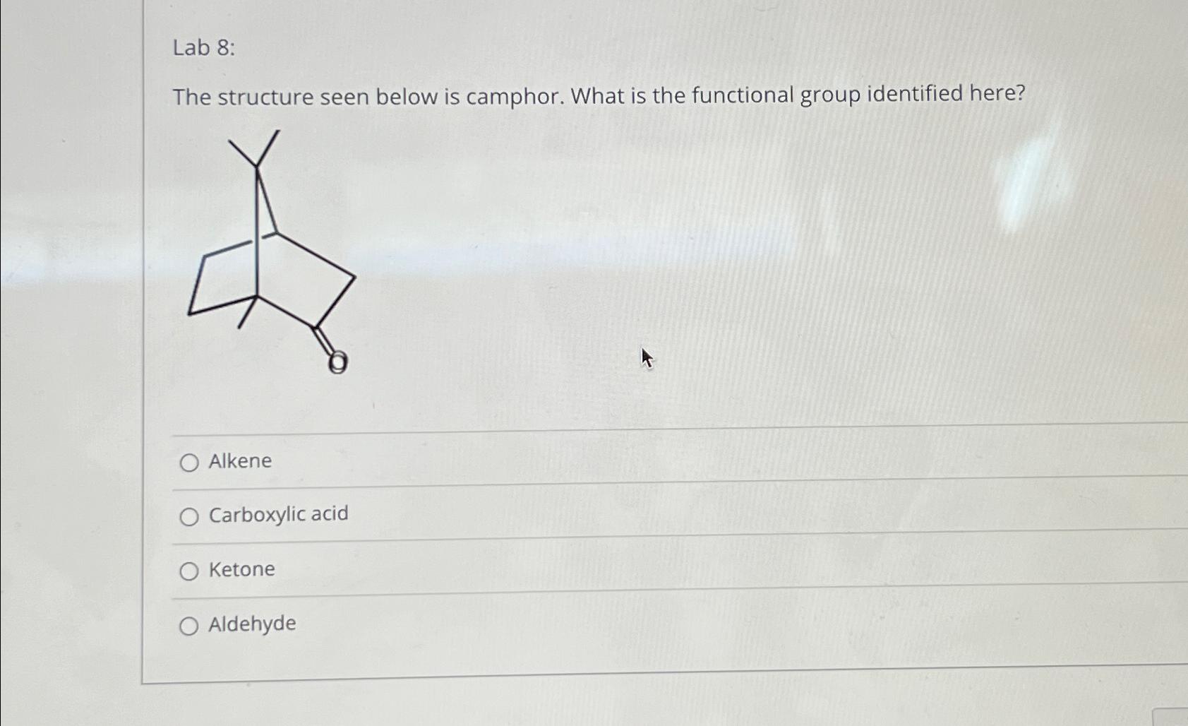 Solved Lab 8:The structure seen below is camphor. What is | Chegg.com
