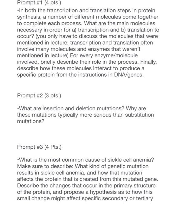 Solved Prompt \#1 (4 pts.) -In both the transcription and | Chegg.com